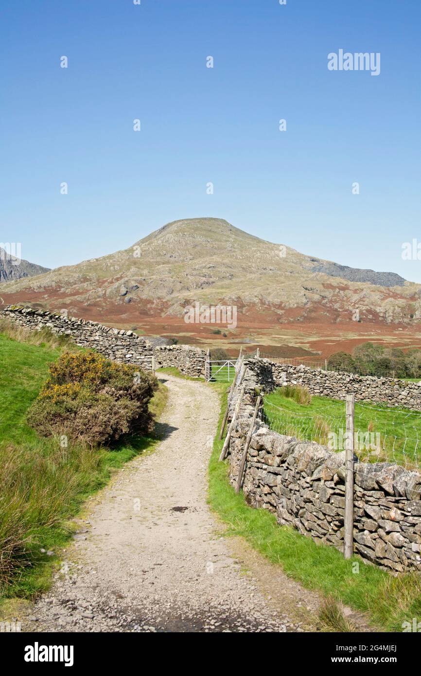 The Old Man of Coniston and Dow Crag viewed from near Torver High ...