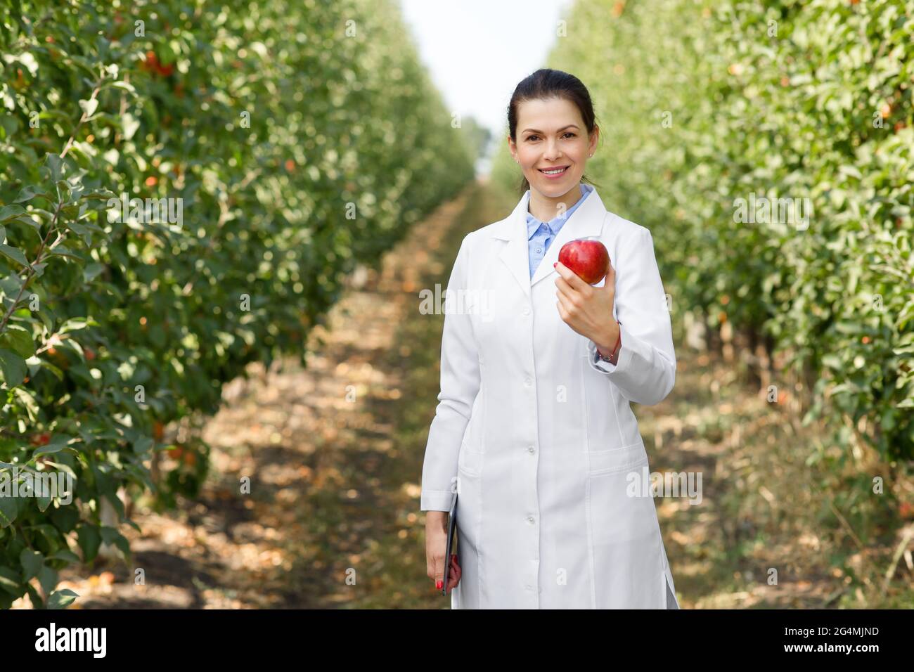 Modern fruit growing, production and business outdoor Stock Photo - Alamy