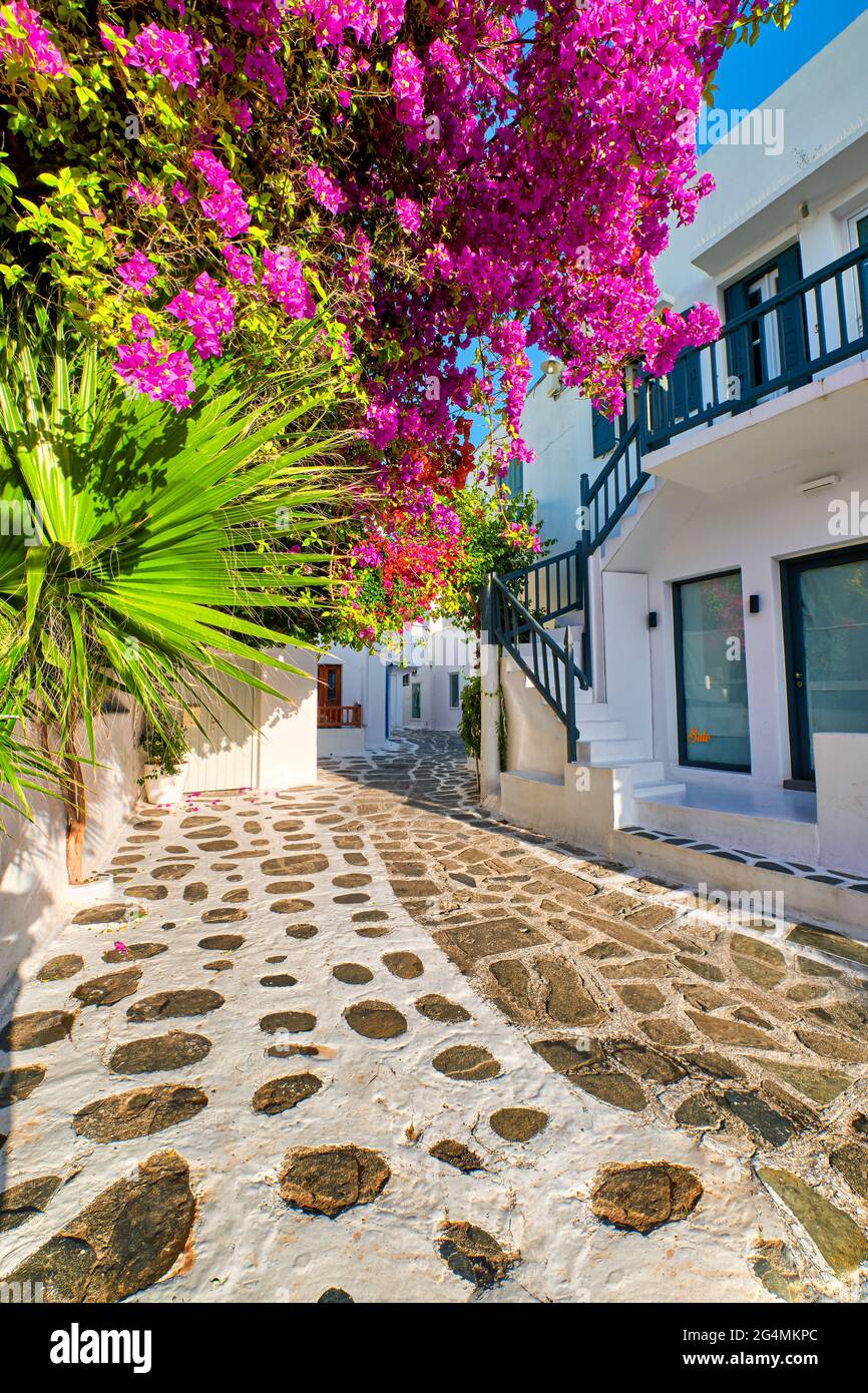 Beautiful traditional street in Greek island town. Whitewashed houses ...