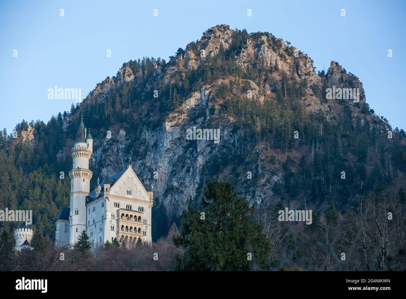 Old beautiful stone castle Neuschwanstein Castle surrounded by rocks ...