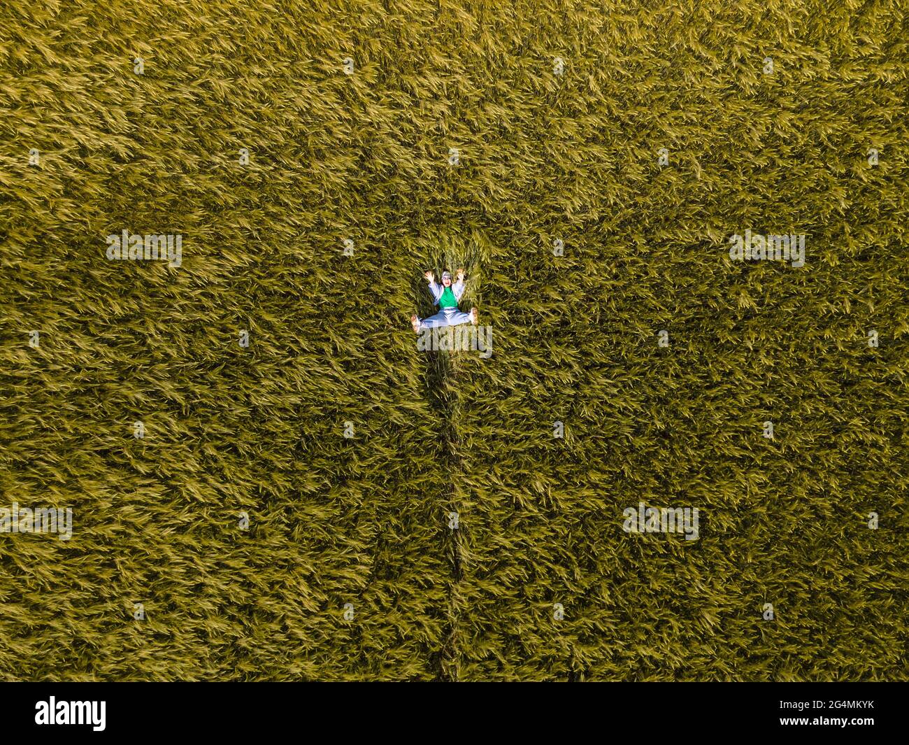smiling woman laying down in wheat field overhead top view Stock Photo ...
