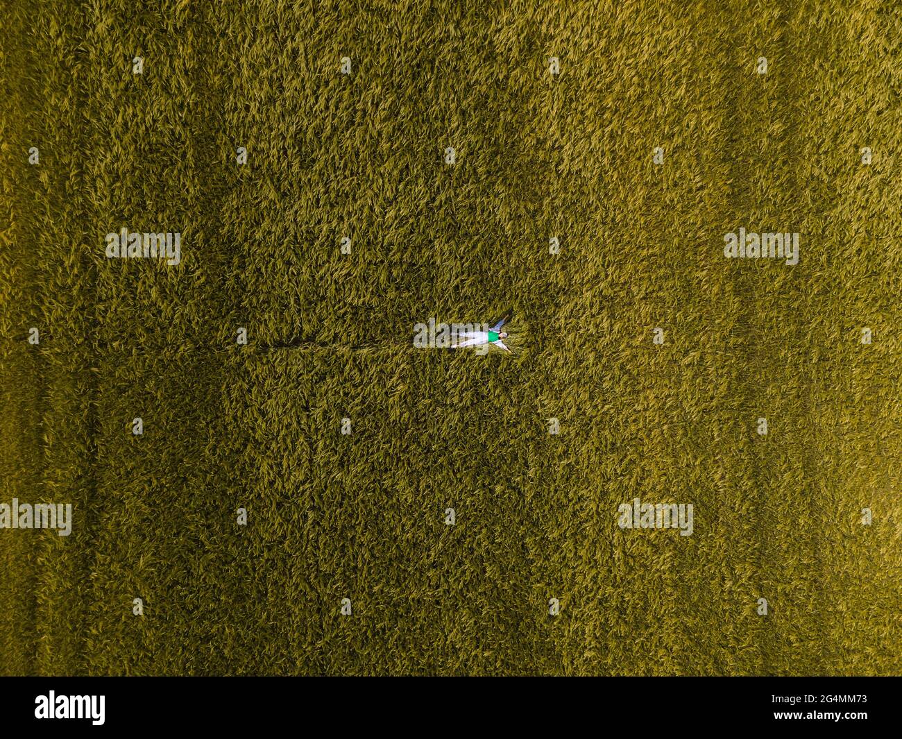smiling woman laying down in wheat field overhead top view Stock Photo ...