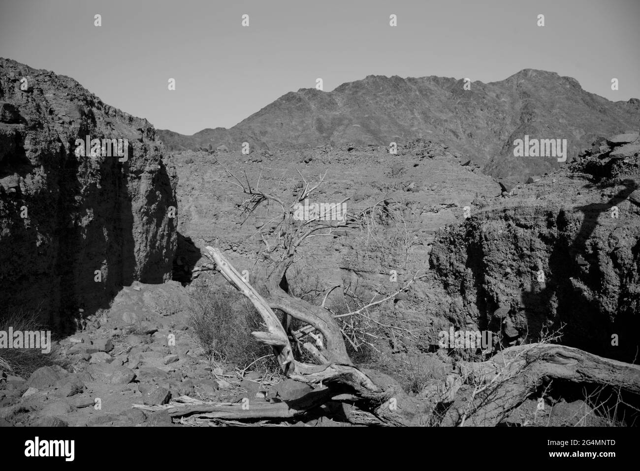 Timna Park, Arava, Rift Valley, Israel Stock Photo - Alamy
