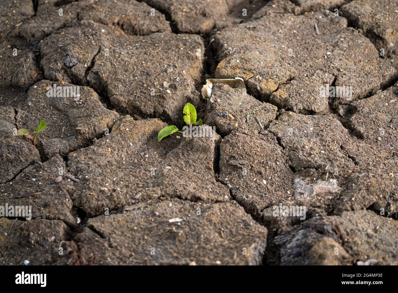 Human induced erosion hi-res stock photography and images - Alamy