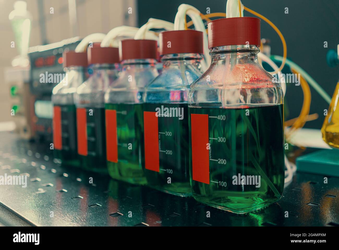 Experimental setup for enzymatic synthesis by genetically modified ...
