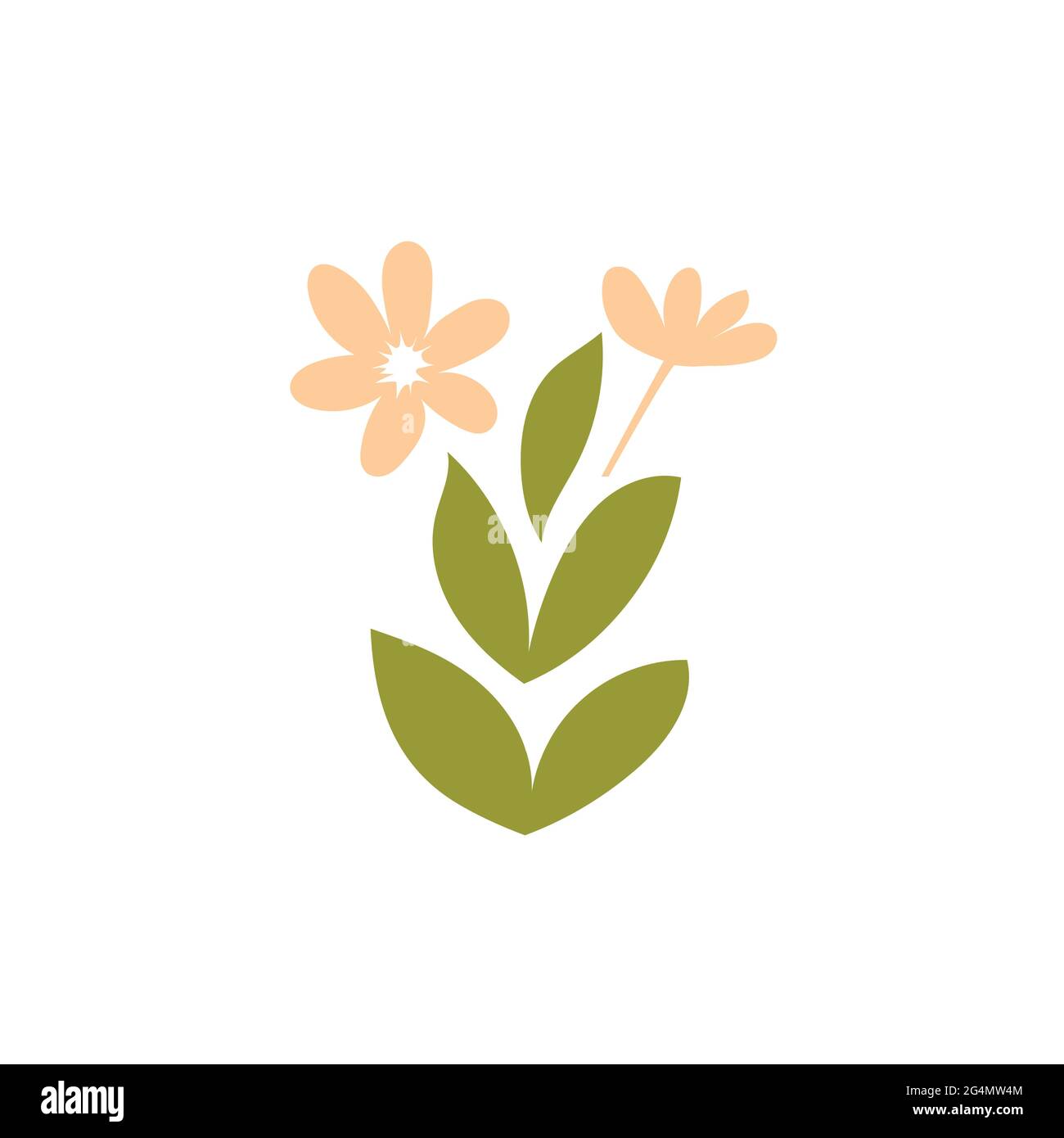 Minimalistic art illustartion of plant, retro floral logo icon Stock ...
