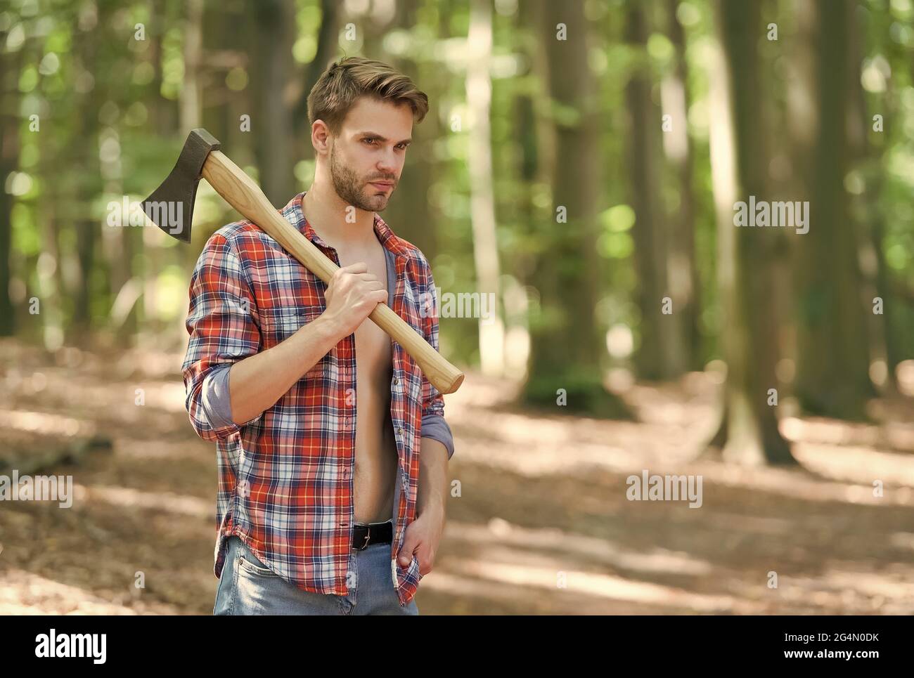 Managing forest. Handsome guy carry chopping axe in wood. Tree chopping ...