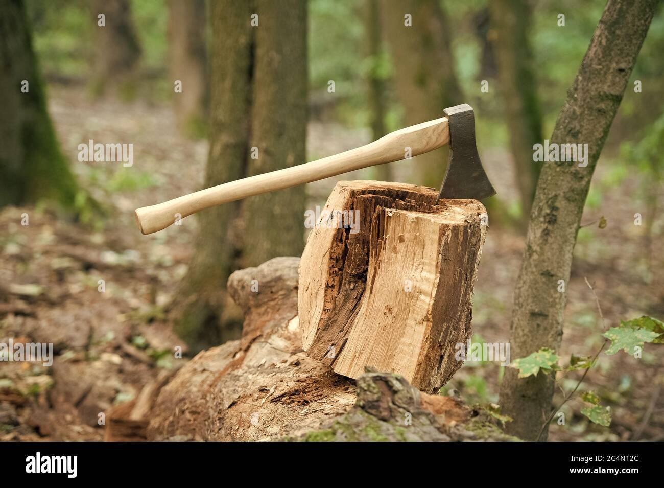 Split and cut. Large axe in stump. Splitting axe on natural landscape ...