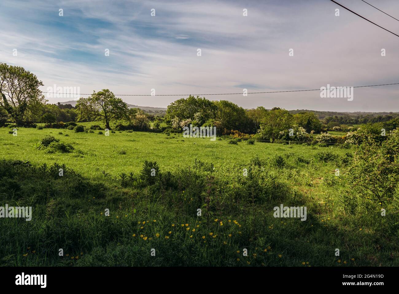 Irish Landscape. Green field in North Wexford. Ireland Stock Photo - Alamy