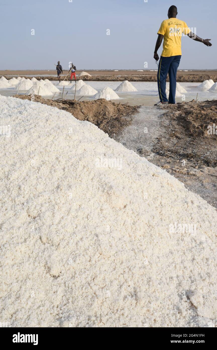 SENEGAL, Kaolack, salt works in saline, sea-salt pans in Saloum river ...