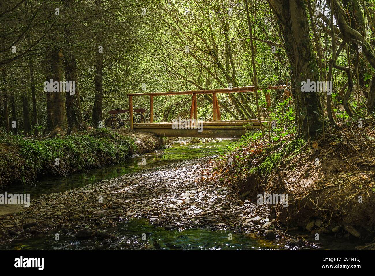 Irish Landscape. Sunlit wooden bridge over the river in dense forest ...