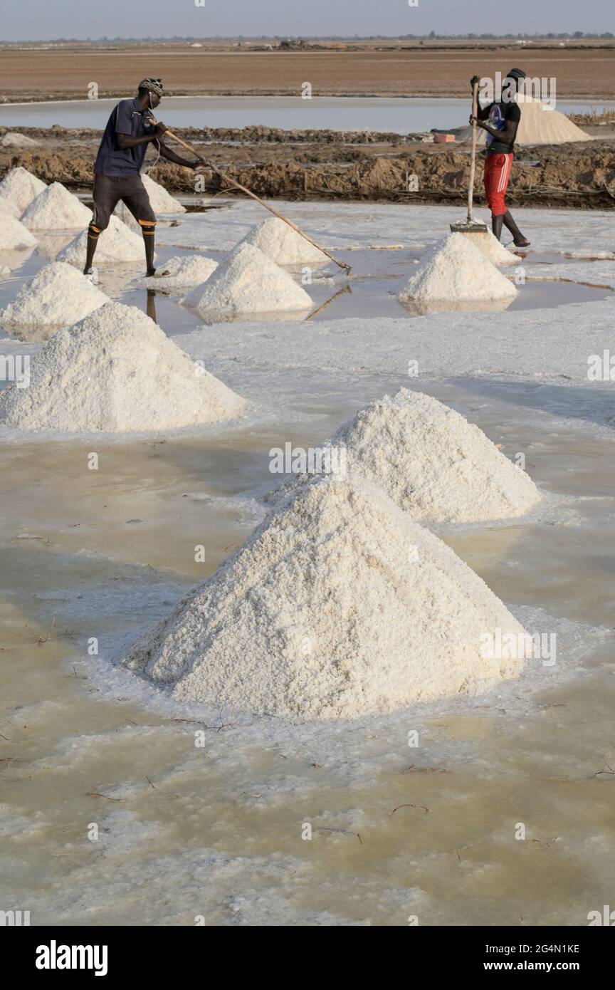 SENEGAL, Kaolack, salt works in saline, sea-salt pans in Saloum river ...