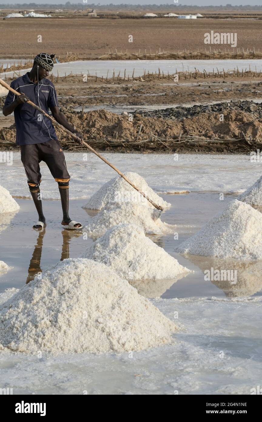 SENEGAL, Kaolack, salt works in saline, sea-salt pans in Saloum river ...