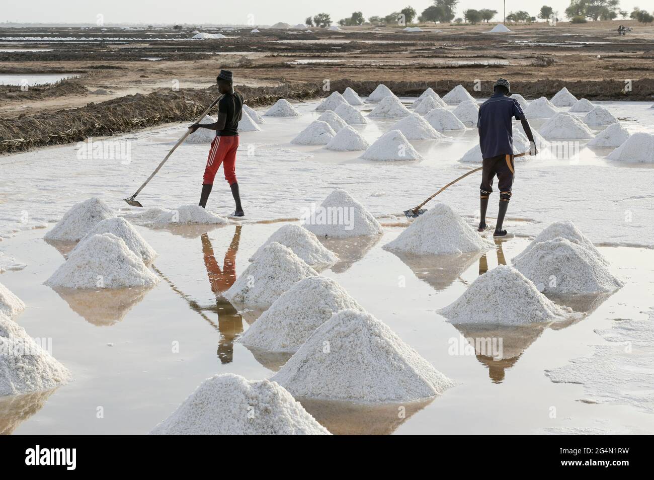 SENEGAL, Kaolack, salt works in saline, sea-salt pans in Saloum river ...