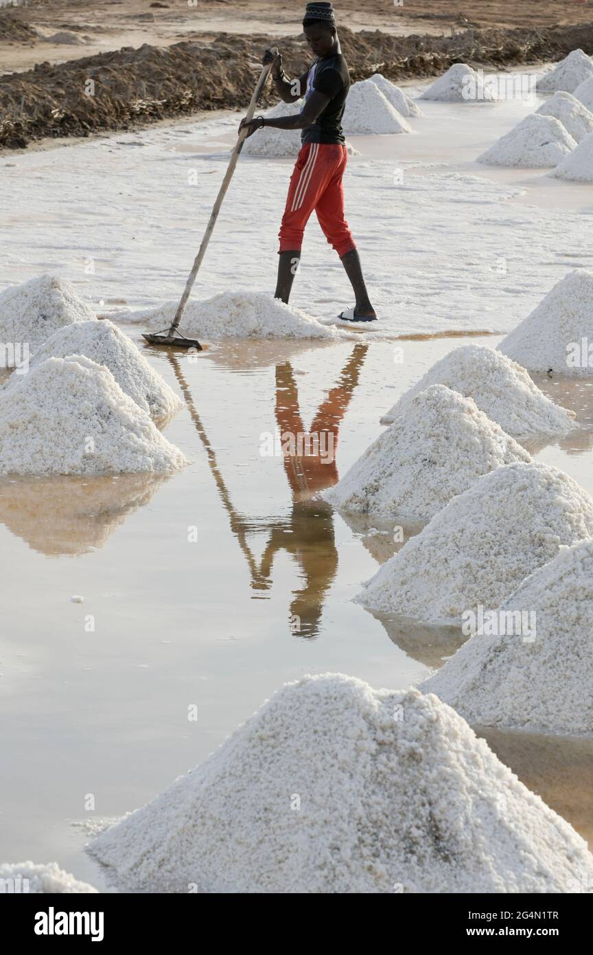 SENEGAL, Kaolack, salt works in saline, sea-salt pans in Saloum river ...