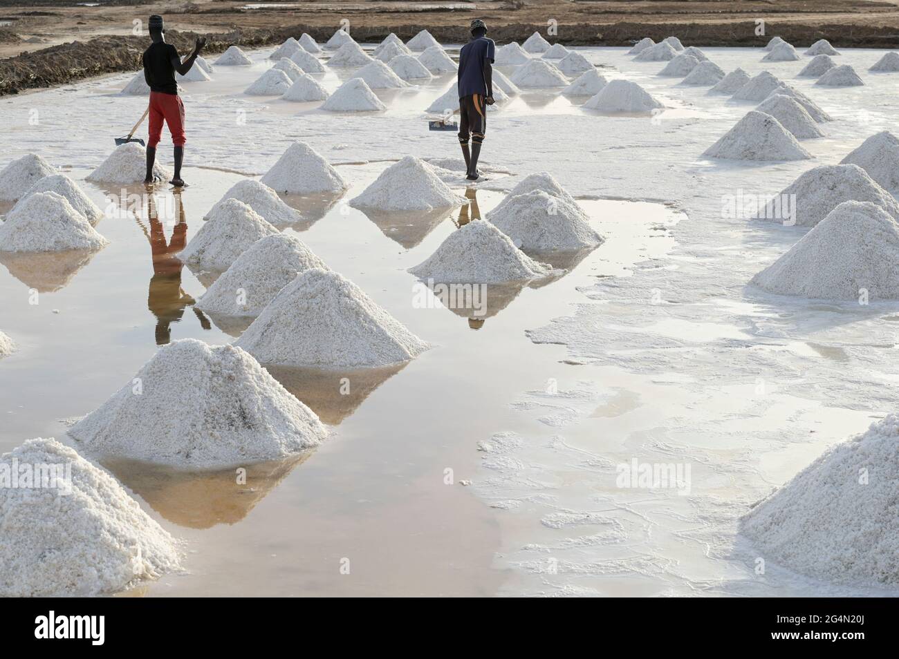 Salt farm senegal hi-res stock photography and images - Alamy