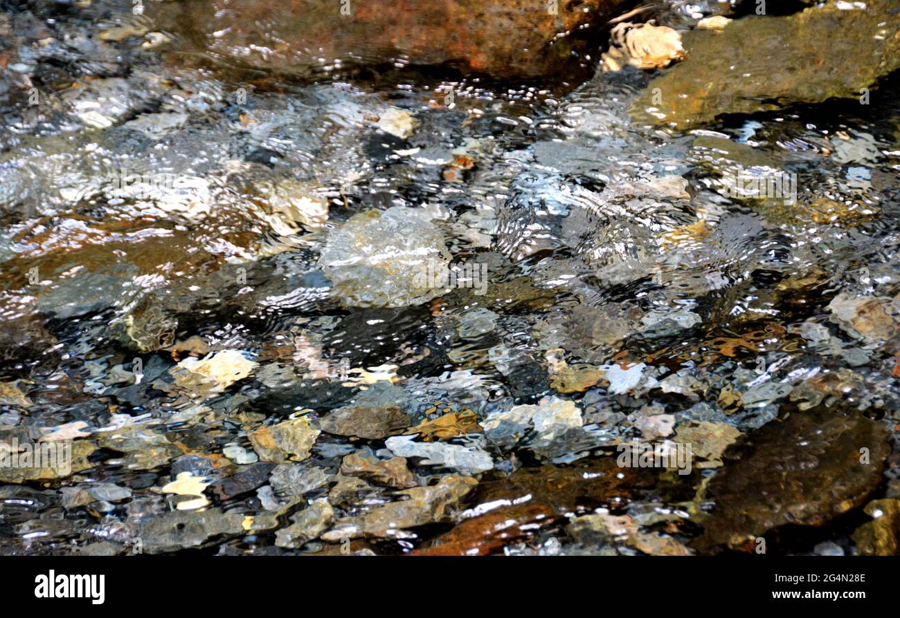 Closeup of the water of a mountain stream passing over the stones Stock ...
