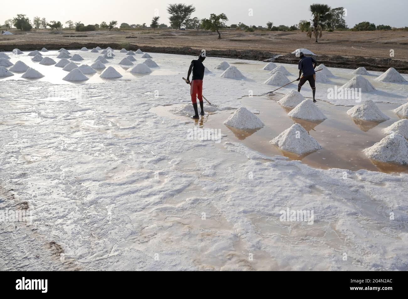 SENEGAL, Kaolack, salt works in saline, sea-salt pans in Saloum river ...
