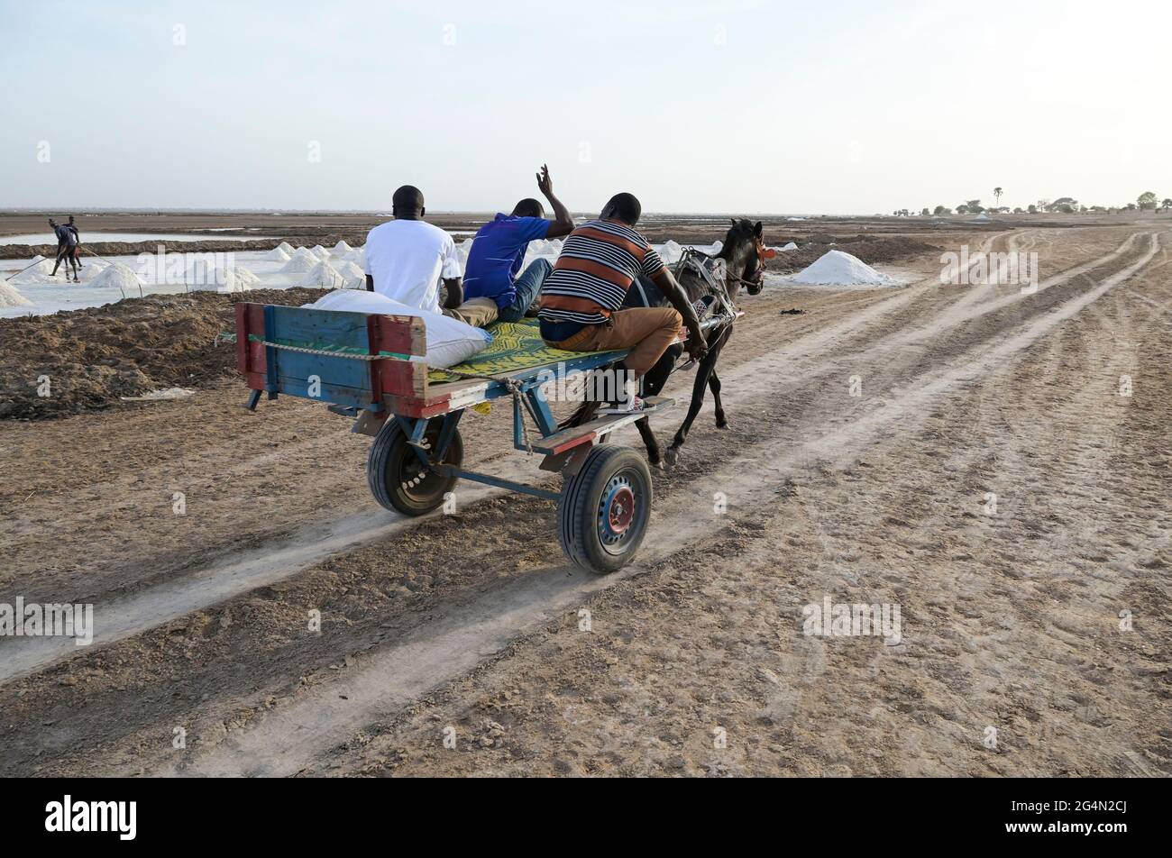 Saloum River Delta High Resolution Stock Photography and Images - Alamy