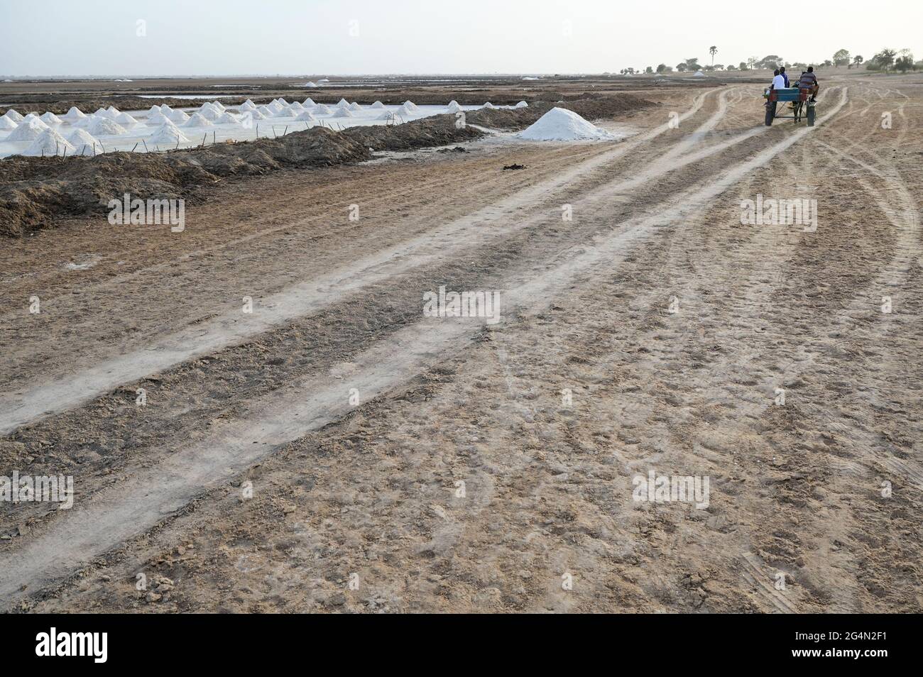 Senegal saloum river delta sine hi-res stock photography and images - Alamy
