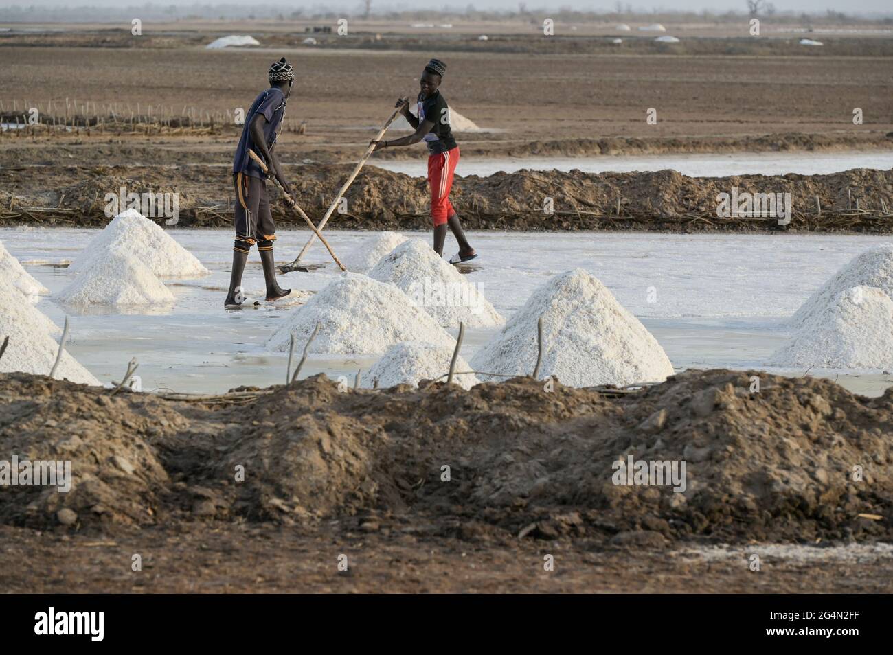 SENEGAL, Kaolack, salt works in saline, sea-salt pans in Saloum river ...