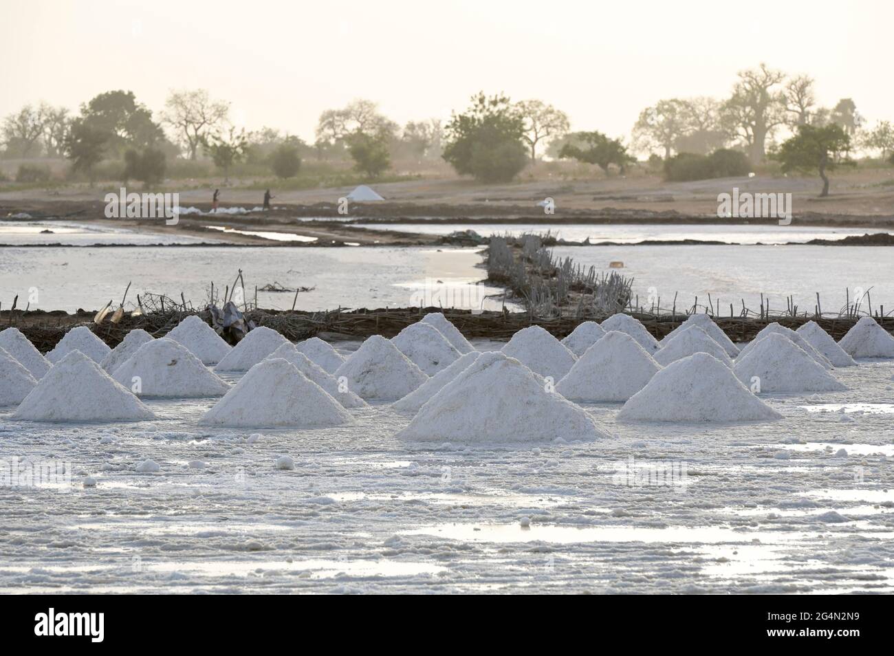 SENEGAL, Kaolack, salt works in saline, sea-salt pans in Saloum river ...