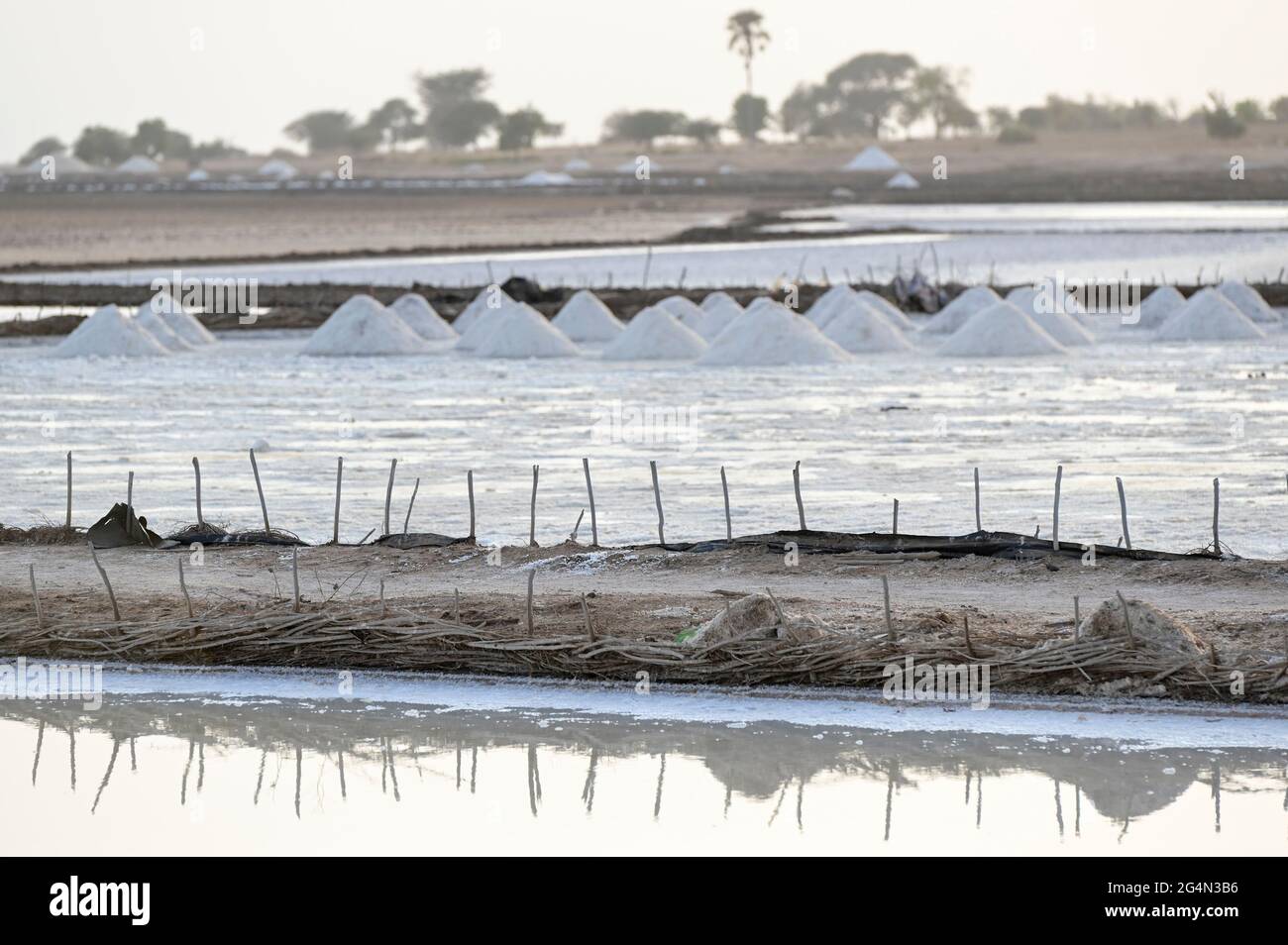 SENEGAL, Kaolack, salt works in saline, sea-salt pans in Saloum river ...
