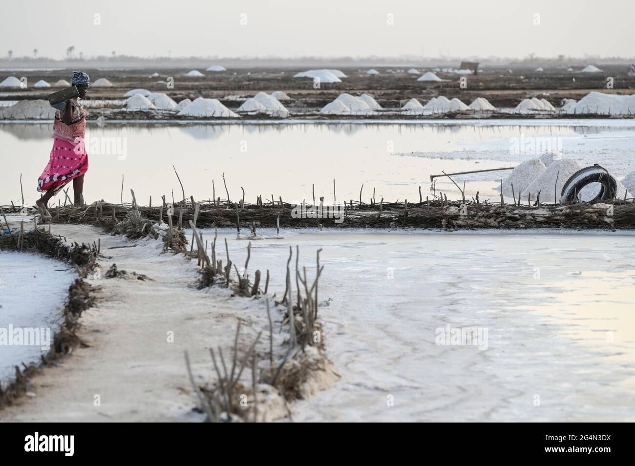 SENEGAL, Kaolack, salt works in saline, sea-salt pans in Saloum river ...