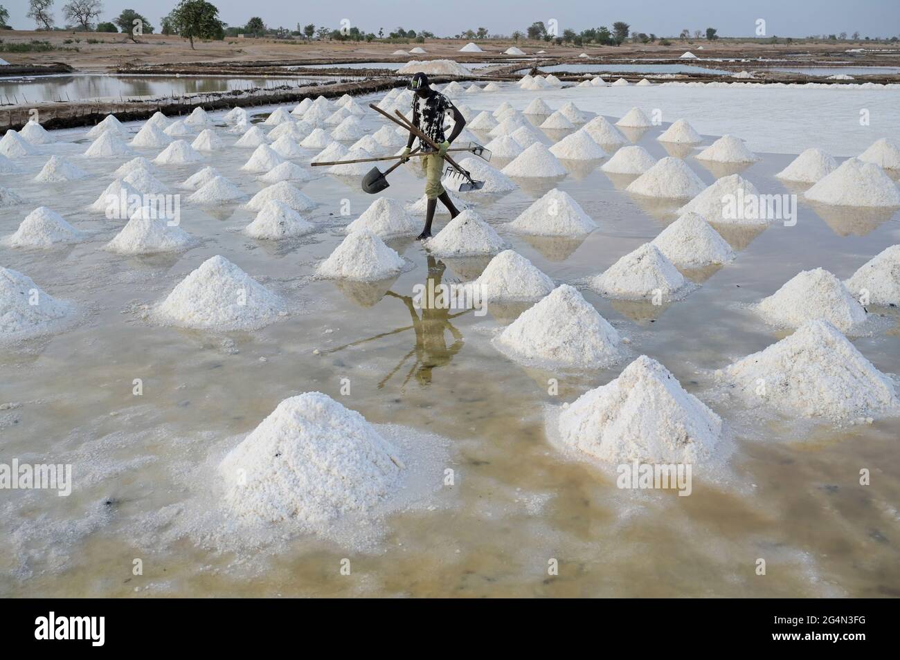 Salt farm senegal hi-res stock photography and images - Alamy
