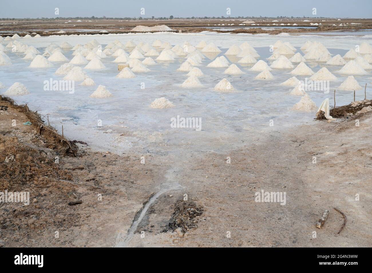 African river still life hi-res stock photography and images - Alamy