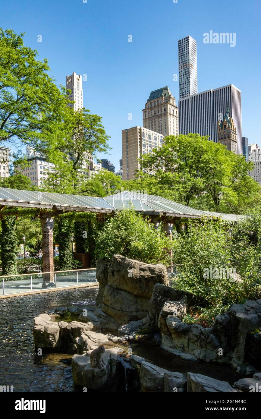 Central Park Zoo with skyscrapers in the background, New York City, USA ...