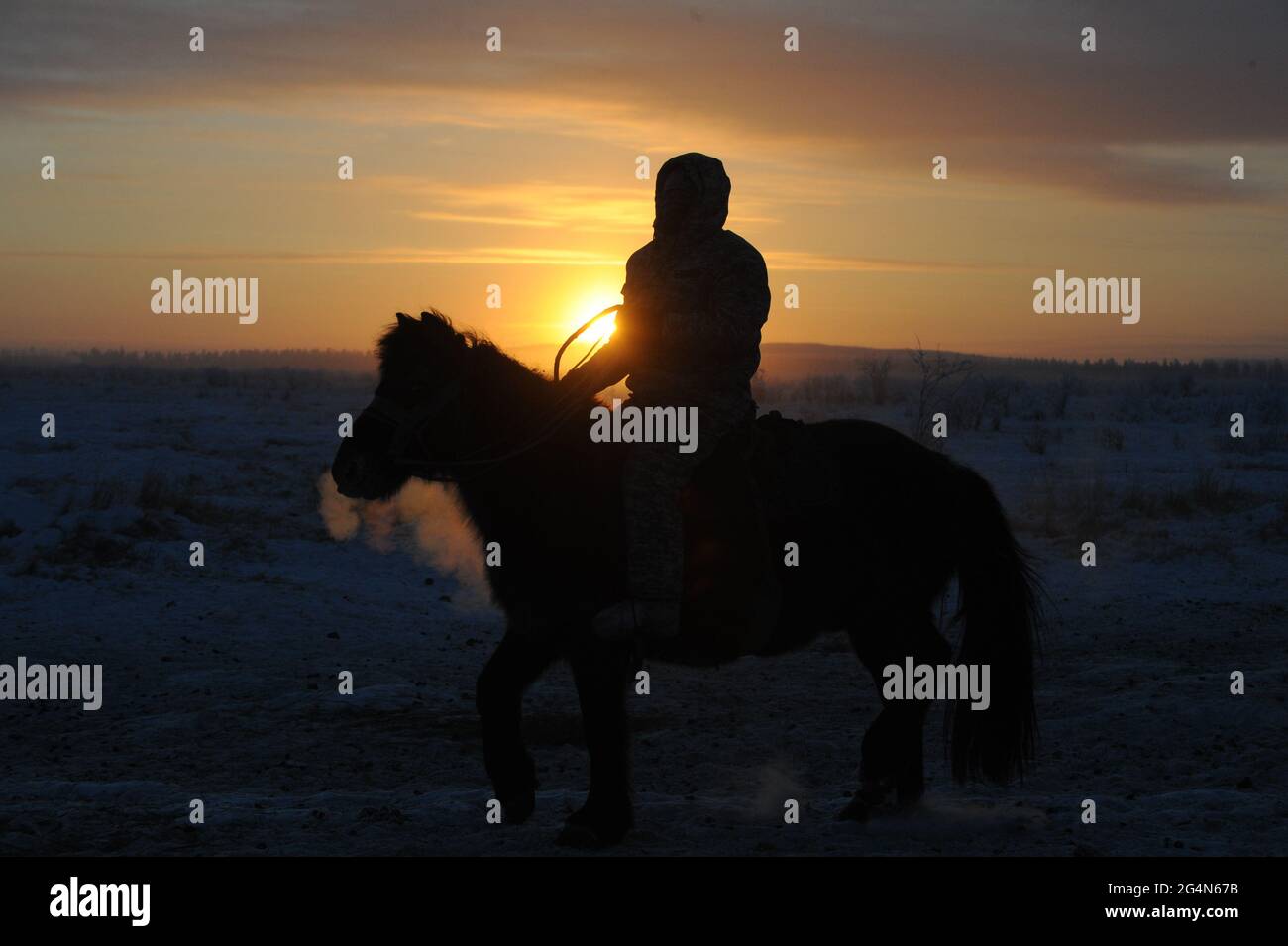 The Yakutian or Yakut is a native horse breed from the Siberian Sakha ...