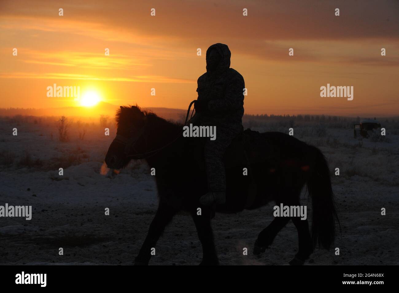 The Yakutian or Yakut is a native horse breed from the Siberian Sakha ...