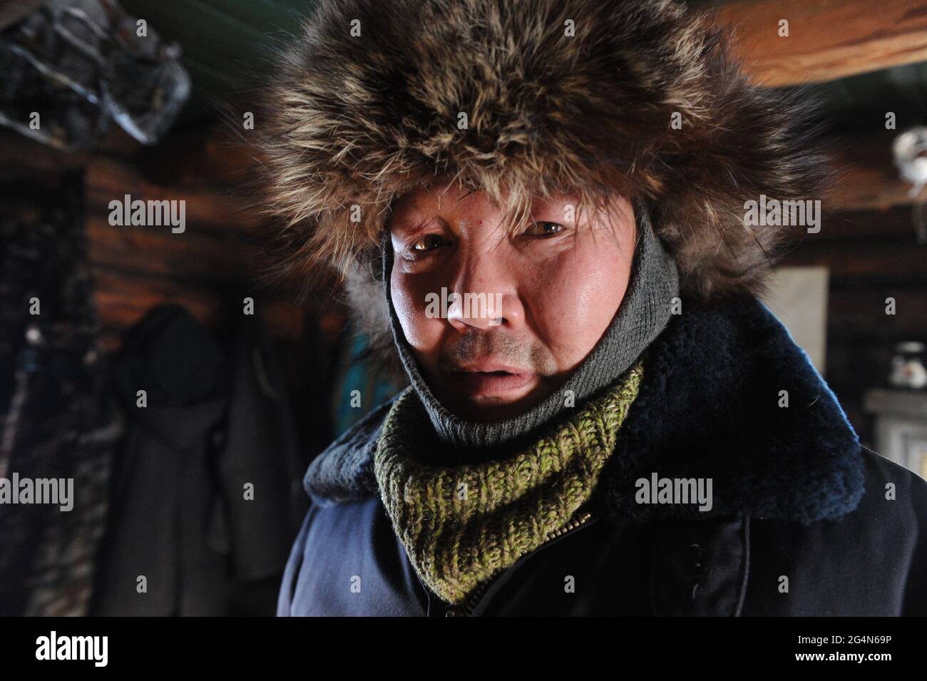 The Yakutian or Yakut is a native horse breed from the Siberian Sakha ...