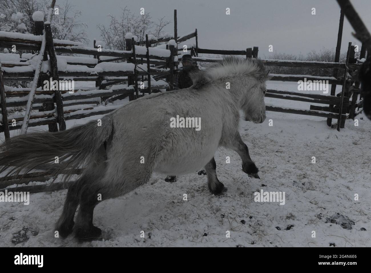 Yakuts russia hi-res stock photography and images - Alamy