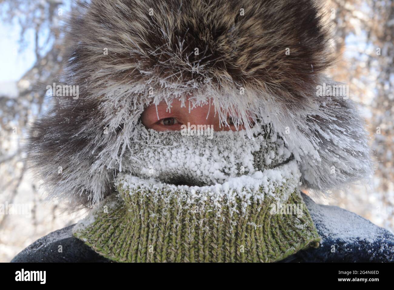 The Yakutian or Yakut is a native horse breed from the Siberian Sakha ...