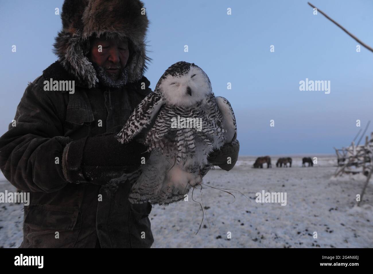 Yakuts russia hi-res stock photography and images - Alamy