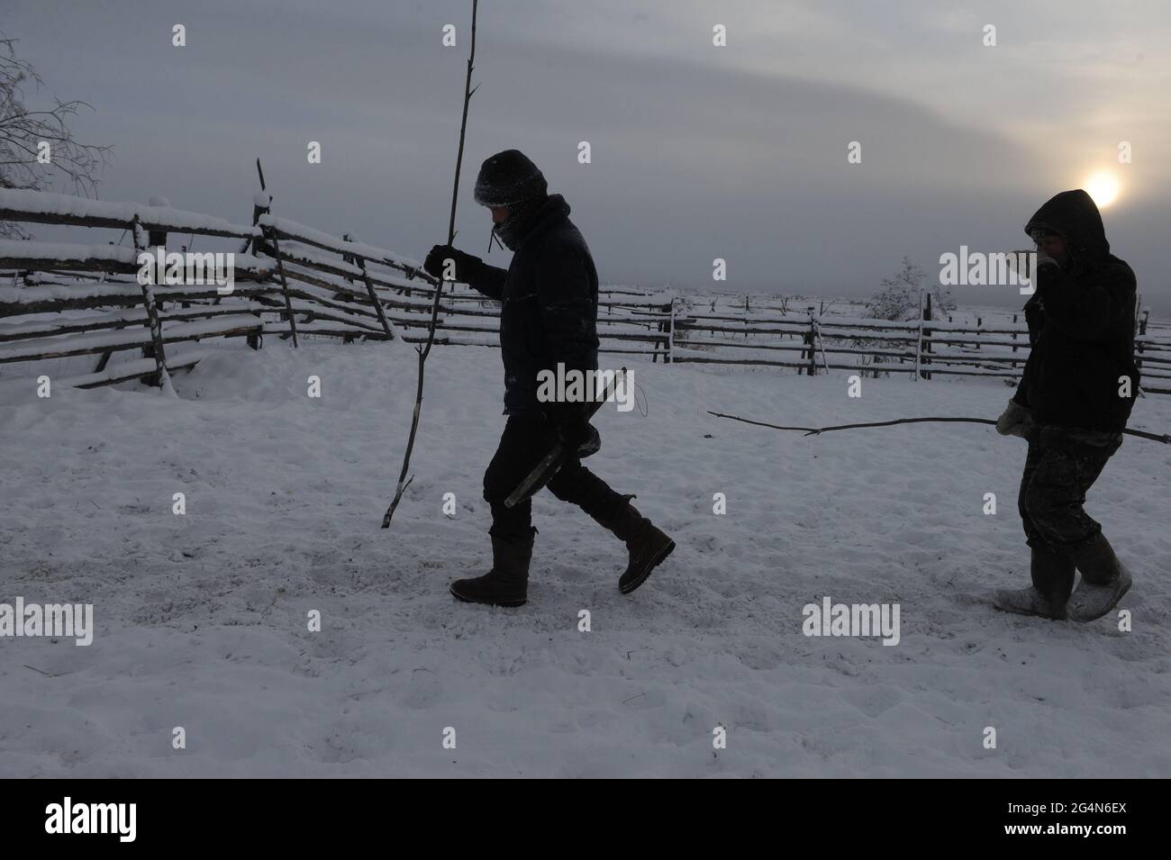 The Yakutian or Yakut is a native horse breed from the Siberian Sakha ...