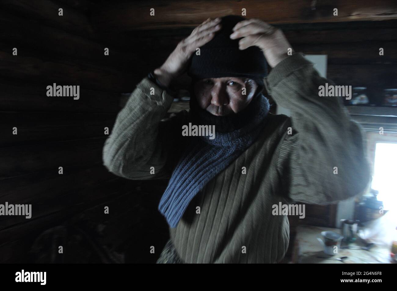 Aboriginal breed hi-res stock photography and images - Alamy