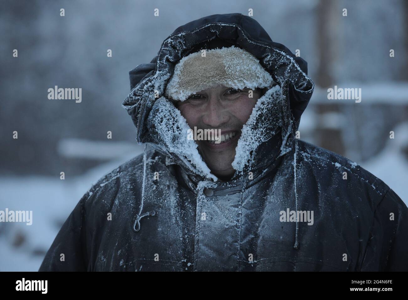 Yakutian horses hi-res stock photography and images - Alamy