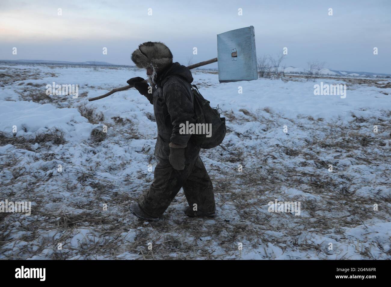 The Yakutian or Yakut is a native horse breed from the Siberian Sakha ...