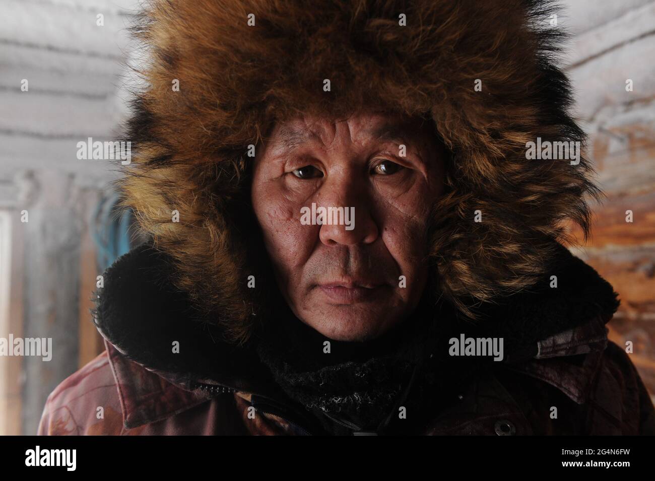 The Yakutian or Yakut is a native horse breed from the Siberian Sakha ...