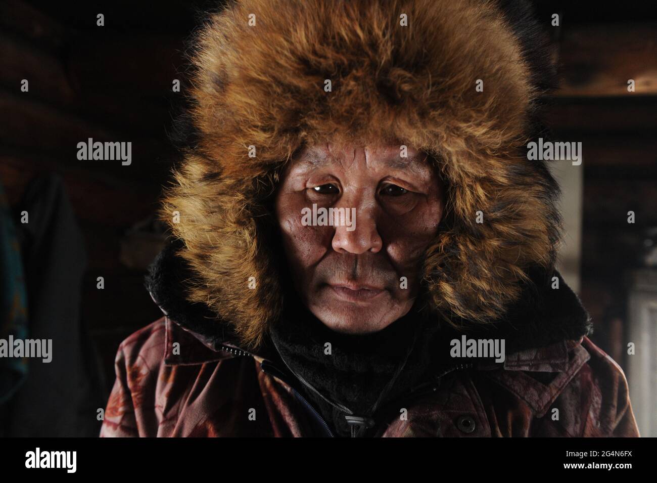 The Yakutian or Yakut is a native horse breed from the Siberian Sakha ...