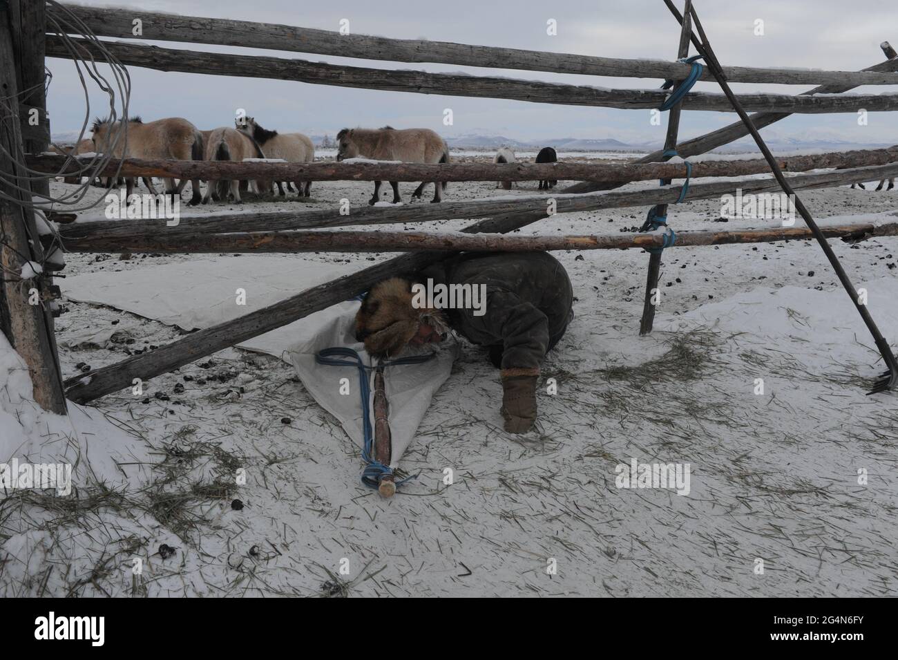 Yakuts of siberia hi-res stock photography and images - Alamy