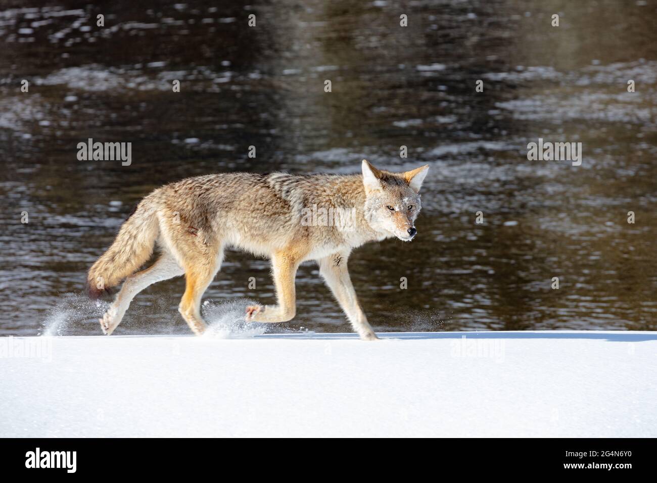 NPS / Jacob W. Frank Stock Photo - Alamy