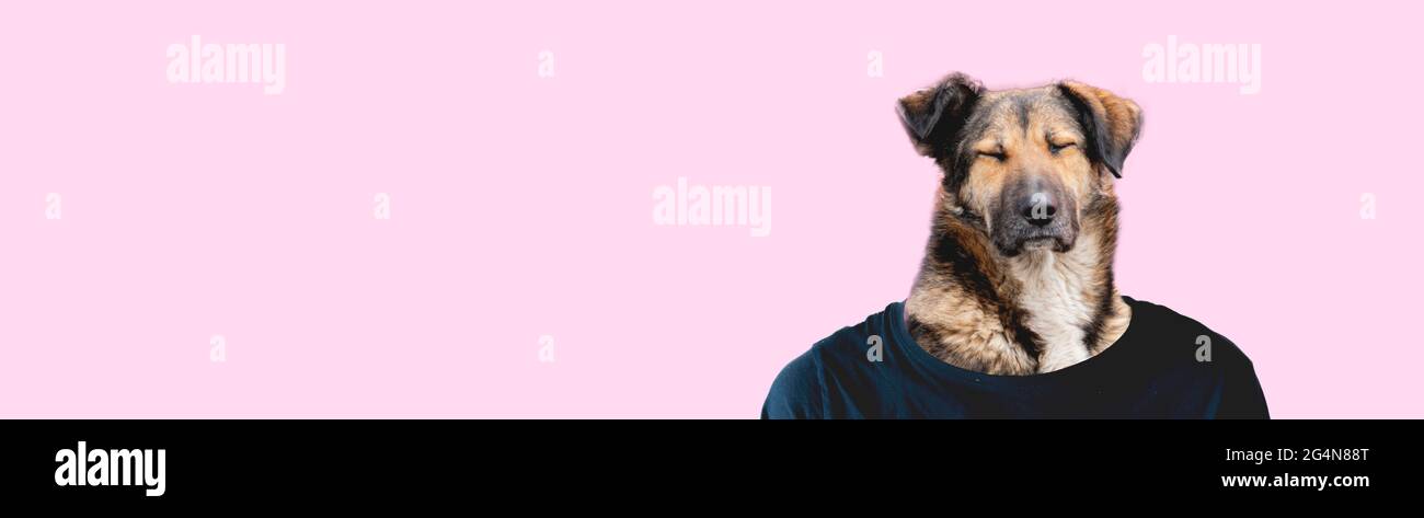 Dog Heads On Human Bodies