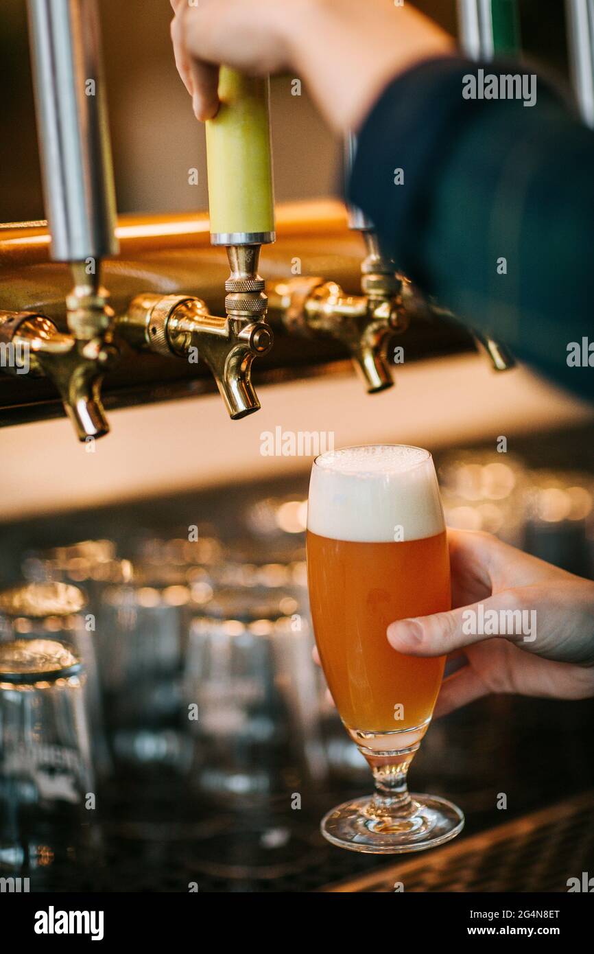 Crop unrecognizable barkeeper pouring foaming beer from tap while ...