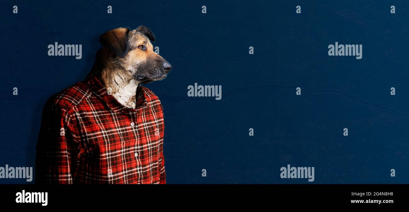 a dog head in human body, simple animal creative concept isolated on ...