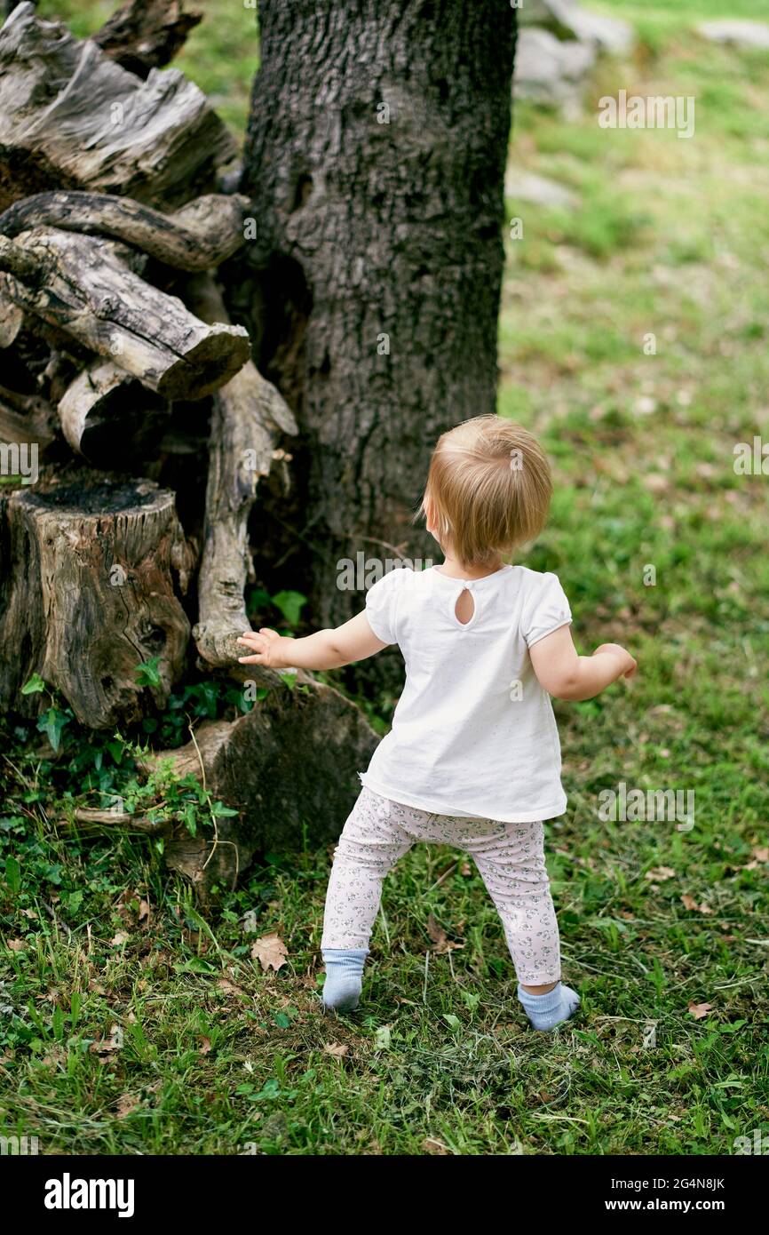 Kid stands by a pile of stumps on a green lawn Stock Photo - Alamy