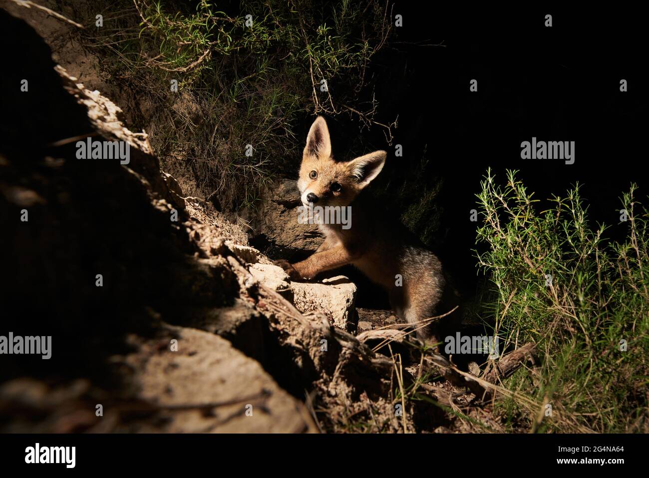 Nice to be alone hi-res stock photography and images - Alamy